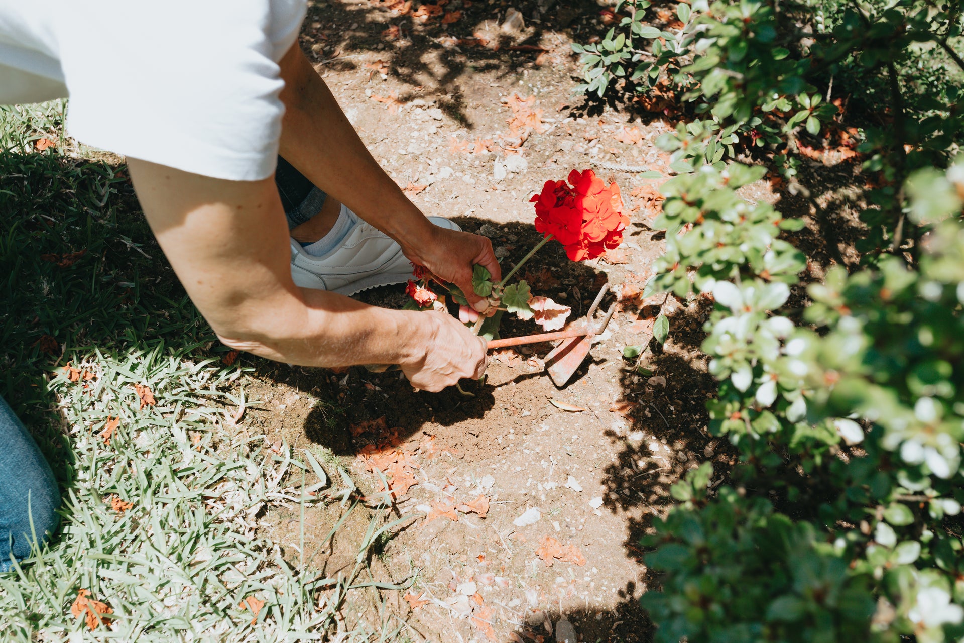 Spring-Themed Sympathy Gifts for Comfort & Healing | laurelbox
